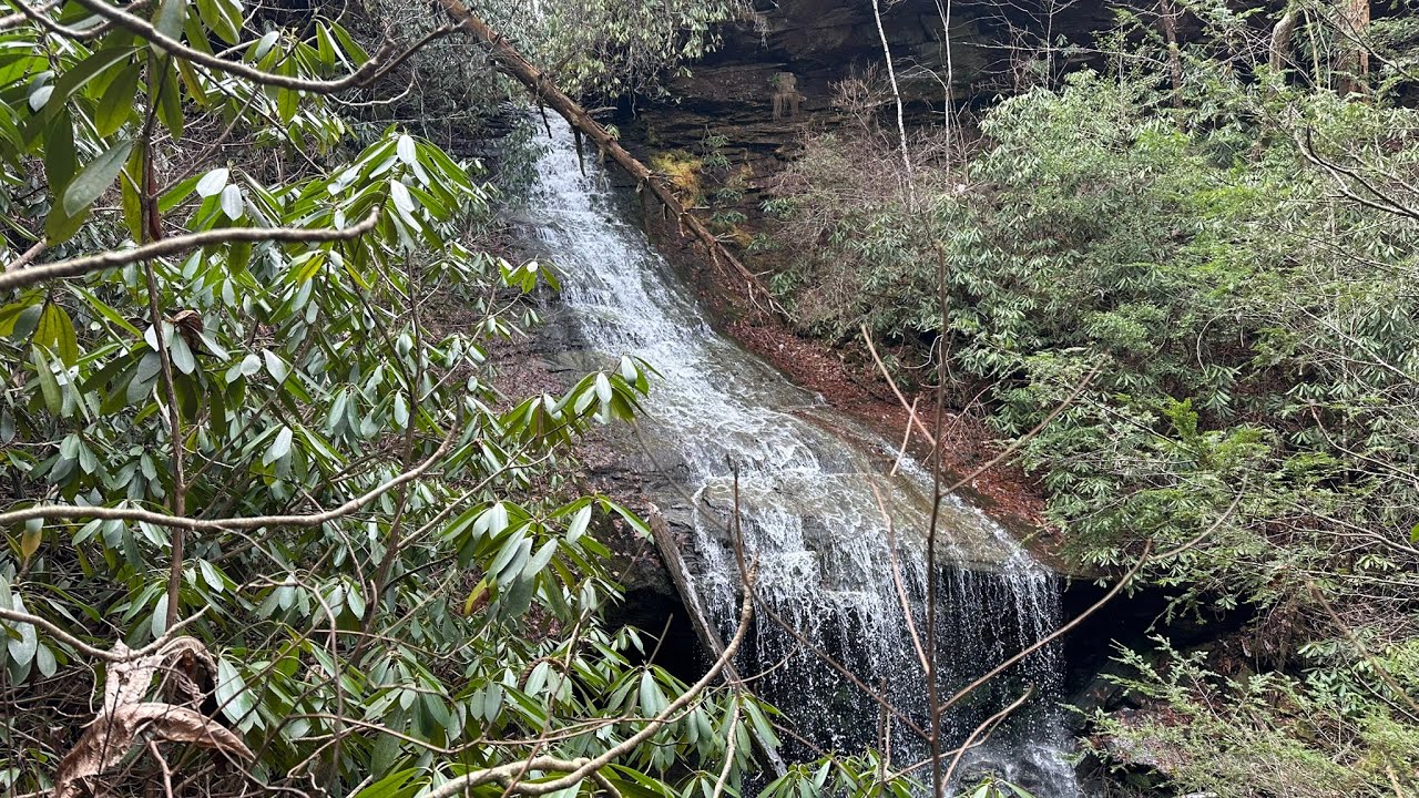 Big South Fork- Hiking to Root Falls, Nee High Arch and Joy Falls Along ...