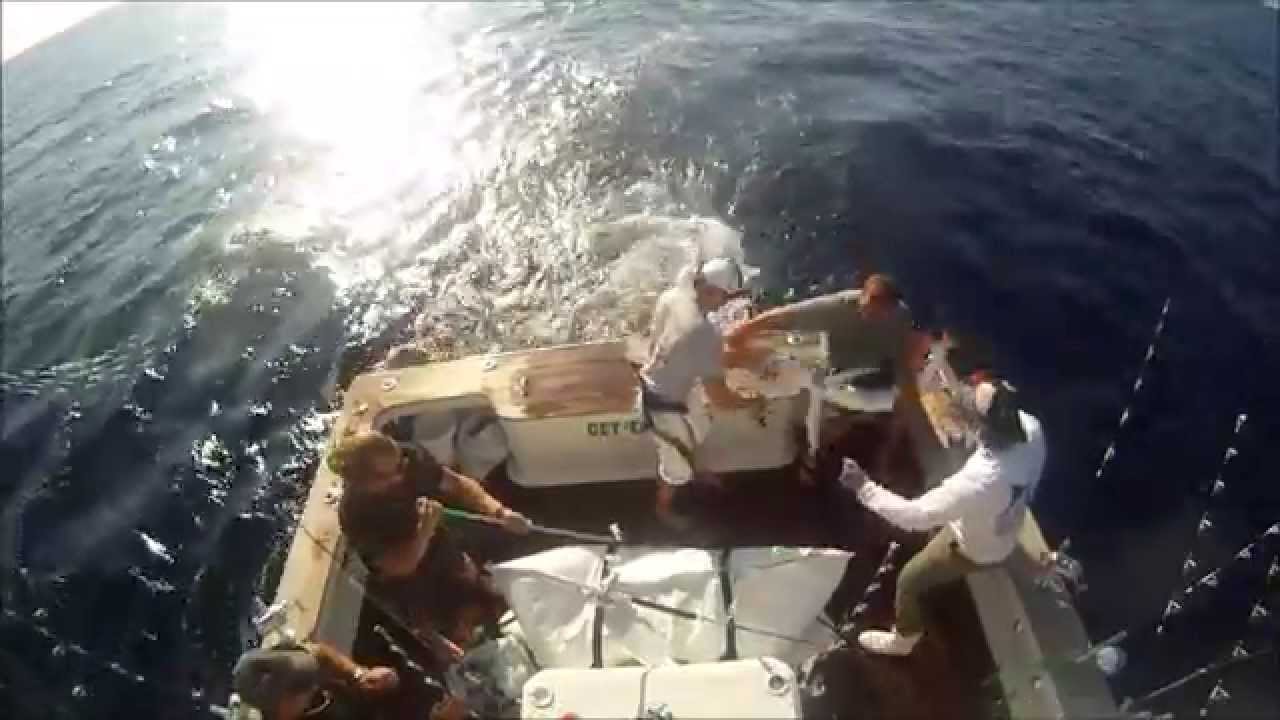 Action Packed Canyon Fishing Trip / Jersey Nutz - YouTube
