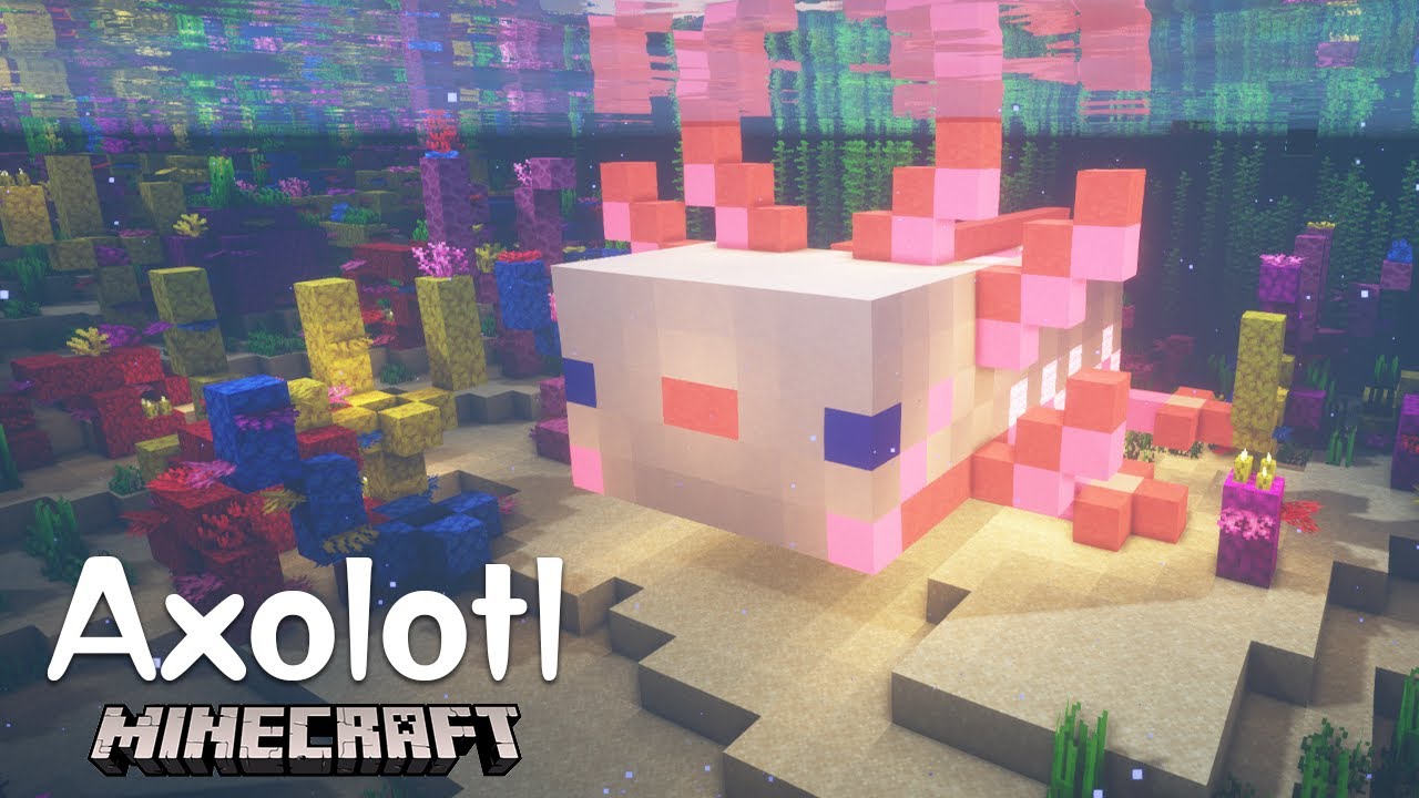 Minecraft Axolotl | How to Build a Axolotl (new cute mob) - YouTube