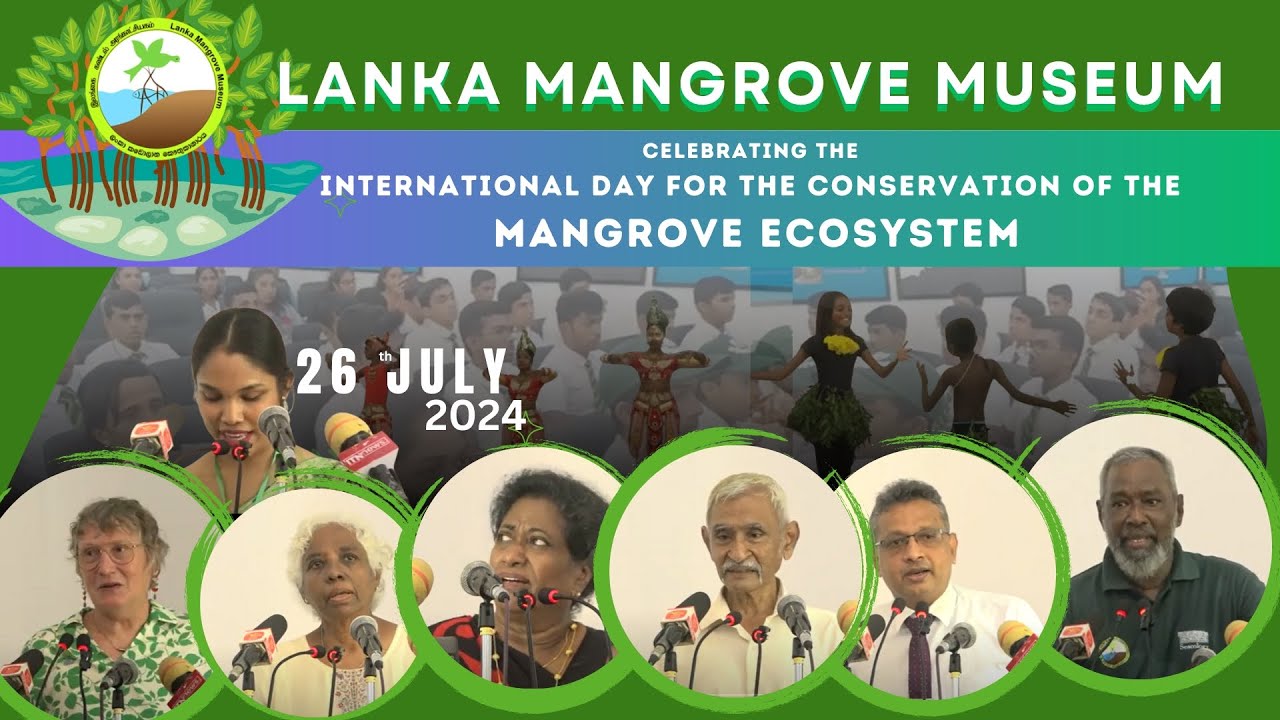 Celebrating the International Day for the Conservation of the Mangrove ...