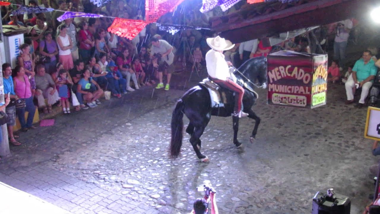 Fancy Horse Show - YouTube