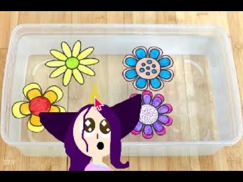 Magical Flower blooming science experiment ( easy fun and can easily do ...