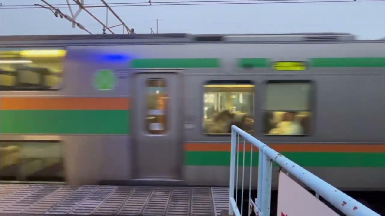 【良い音】E233系3000番代＋E231系1000番代東北線1628E列車低速入線 - YouTube