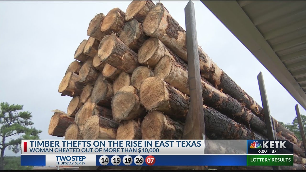 Timber theft on the rise in East Texas - YouTube