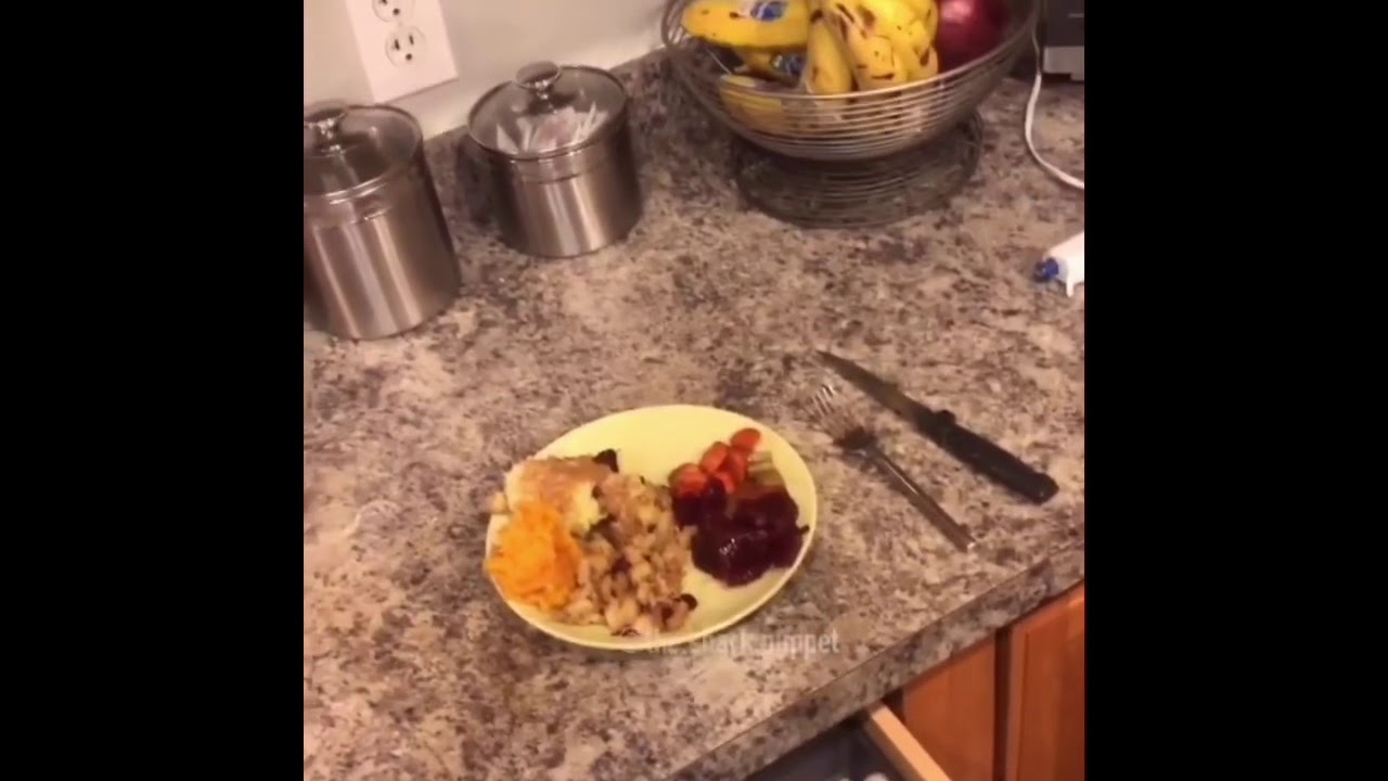 Shark Puppet scream one hour! - YouTube