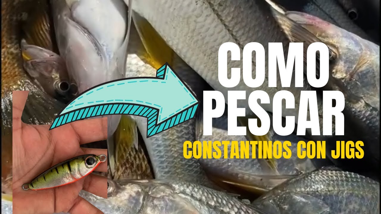 Pesca de Constantinos con jigs en los esteros 🎣 - YouTube