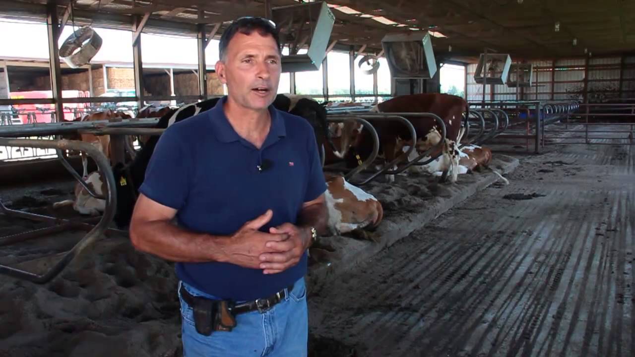 Dry Cow Barn - YouTube