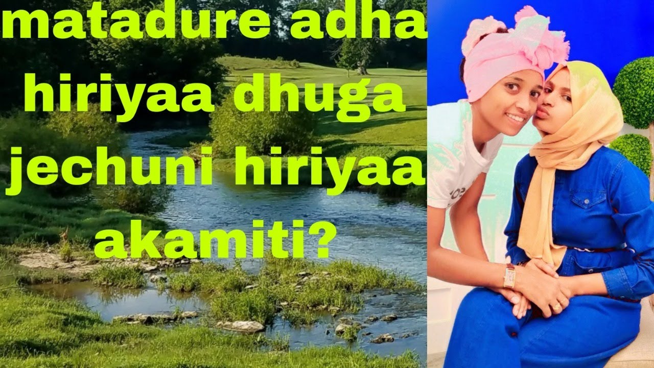 Matadure adha hiriyaa dhuga jechuni hiriyaa akamiti - YouTube