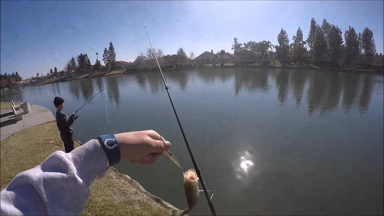 fishing menifee lakes for bass (caution dinks!) - YouTube
