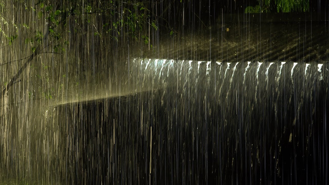 Fall Asleep Fast with Torrential Rain on Tin Roof, Heavy Thunder ...