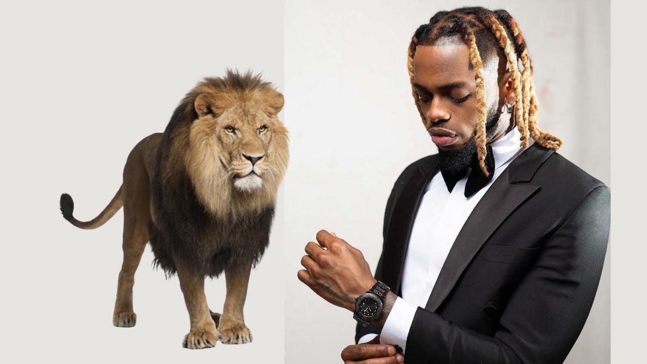 Diamond adai atapanda na Simba mnyama kwenye show yake ya December 31 ...