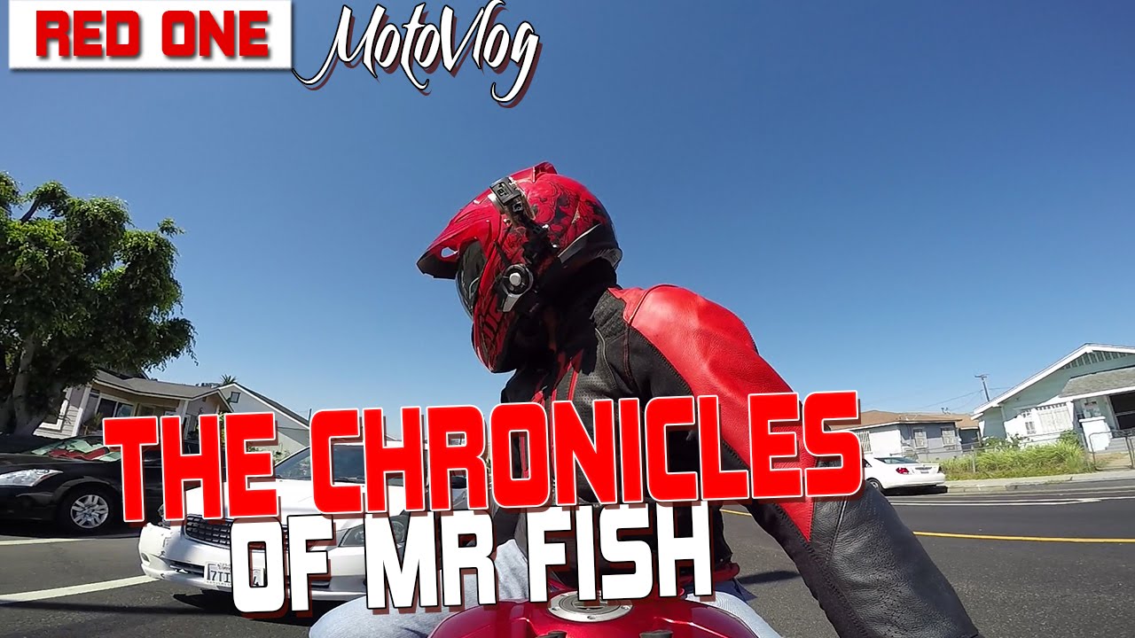 The Chronicles Of Mr Fish - YouTube