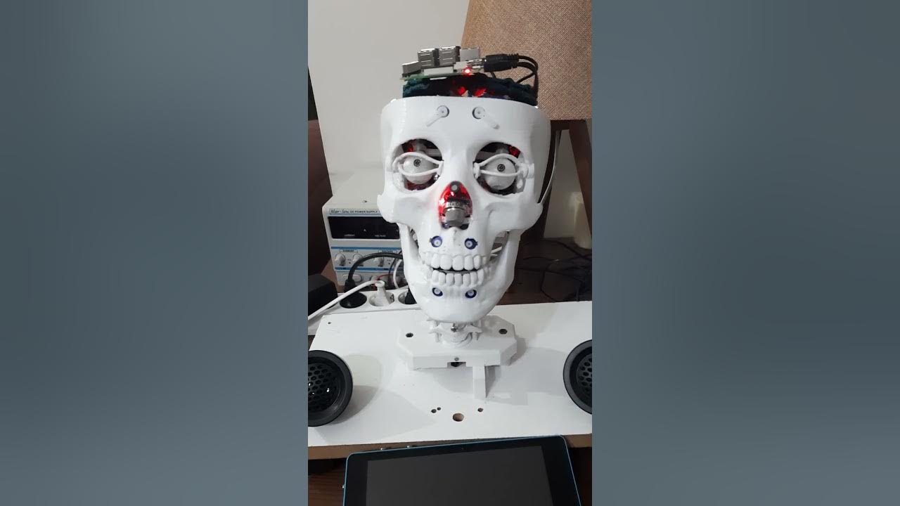 Alp Arslan Humanoid Robot - YouTube