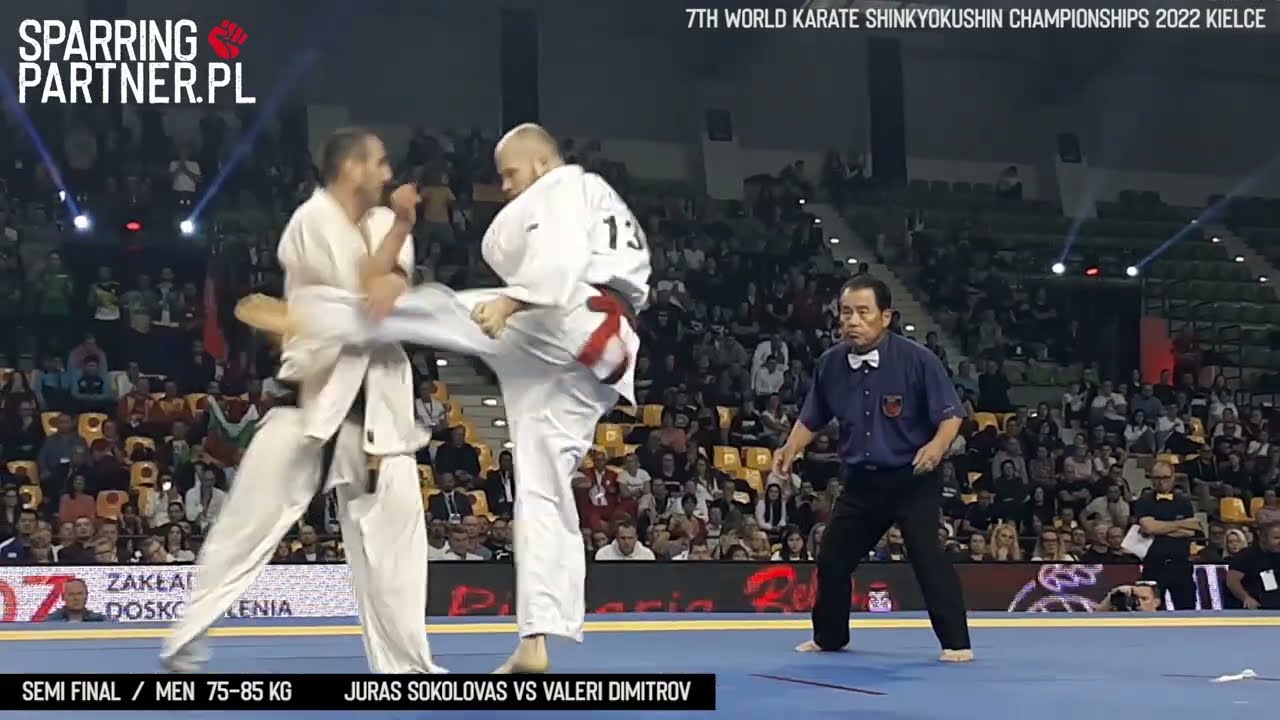 Juras Sokolovas vs Valeri Dimitrov 75-85 kg | 7th World Karate ...
