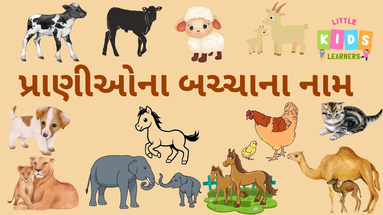 Pranio ane tena bachcha na naam | પ્રાણીઓ અને તેમના બચ્ચાંના નામ ...