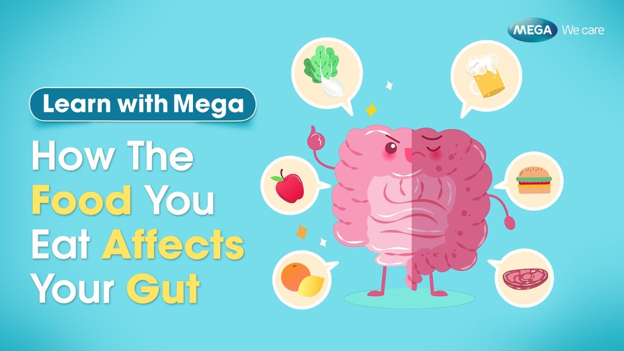 How the food you eat affects your gut - YouTube