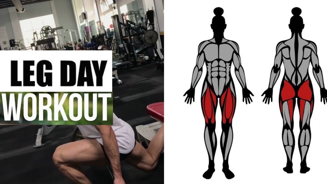 Muscle Building Workout - LEGS WORKOUT | Maniac Muscle - YouTube
