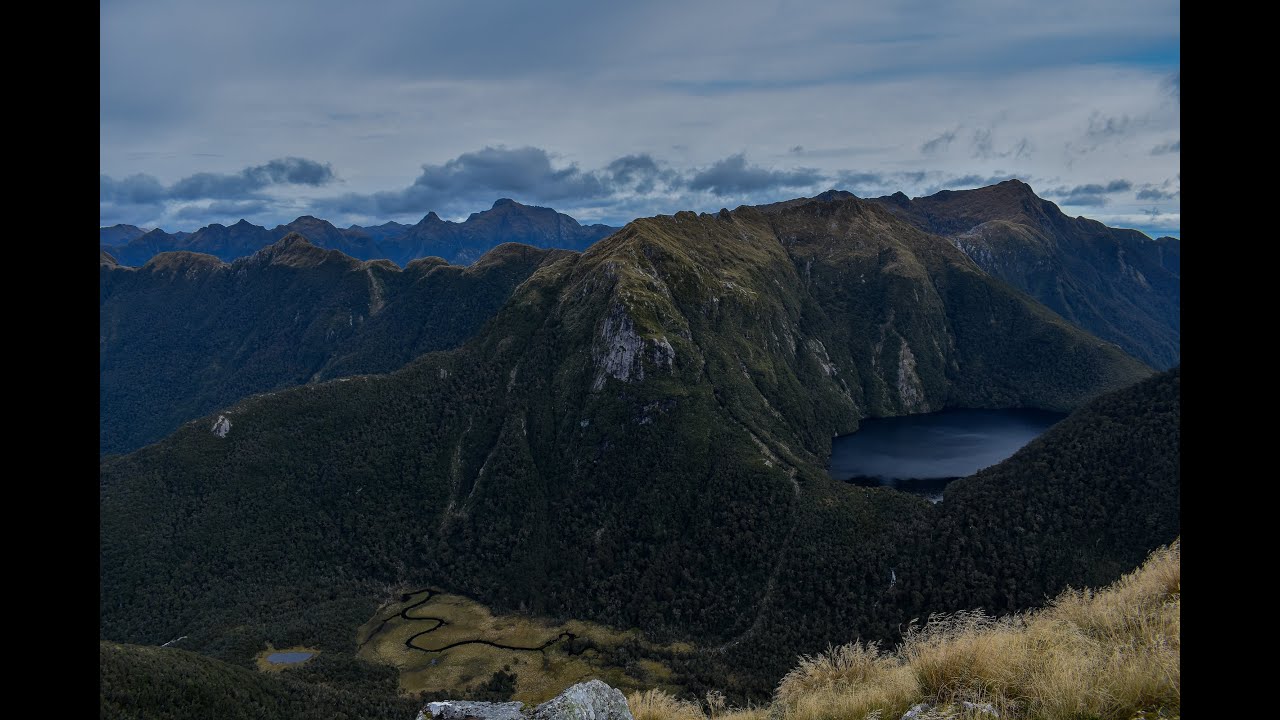Fiordland Wapiti Block 2019 Mt Tanilba - YouTube