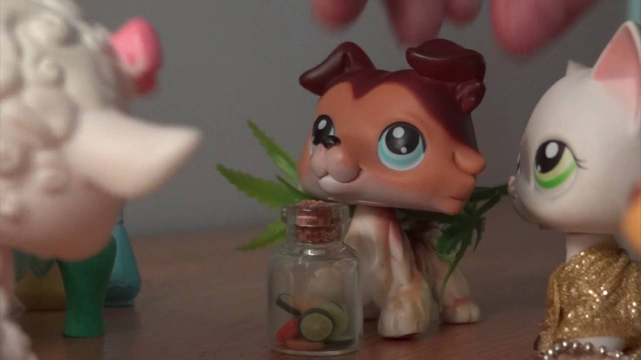 LPS: The Crazy Classroom - YouTube