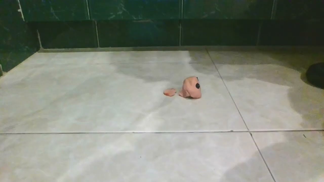 Caca andante - YouTube