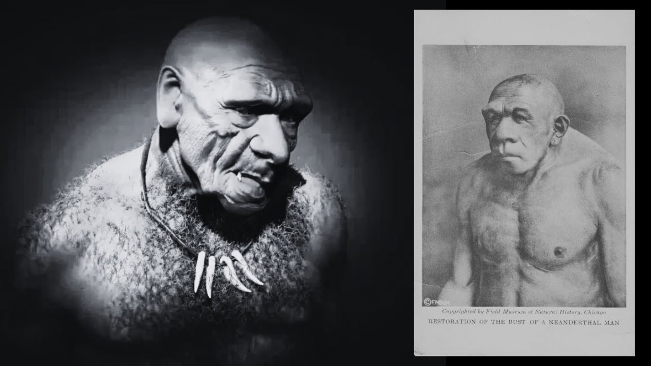 Scientists Just Unlocked Mystery of Ancient Human Skulls - YouTube