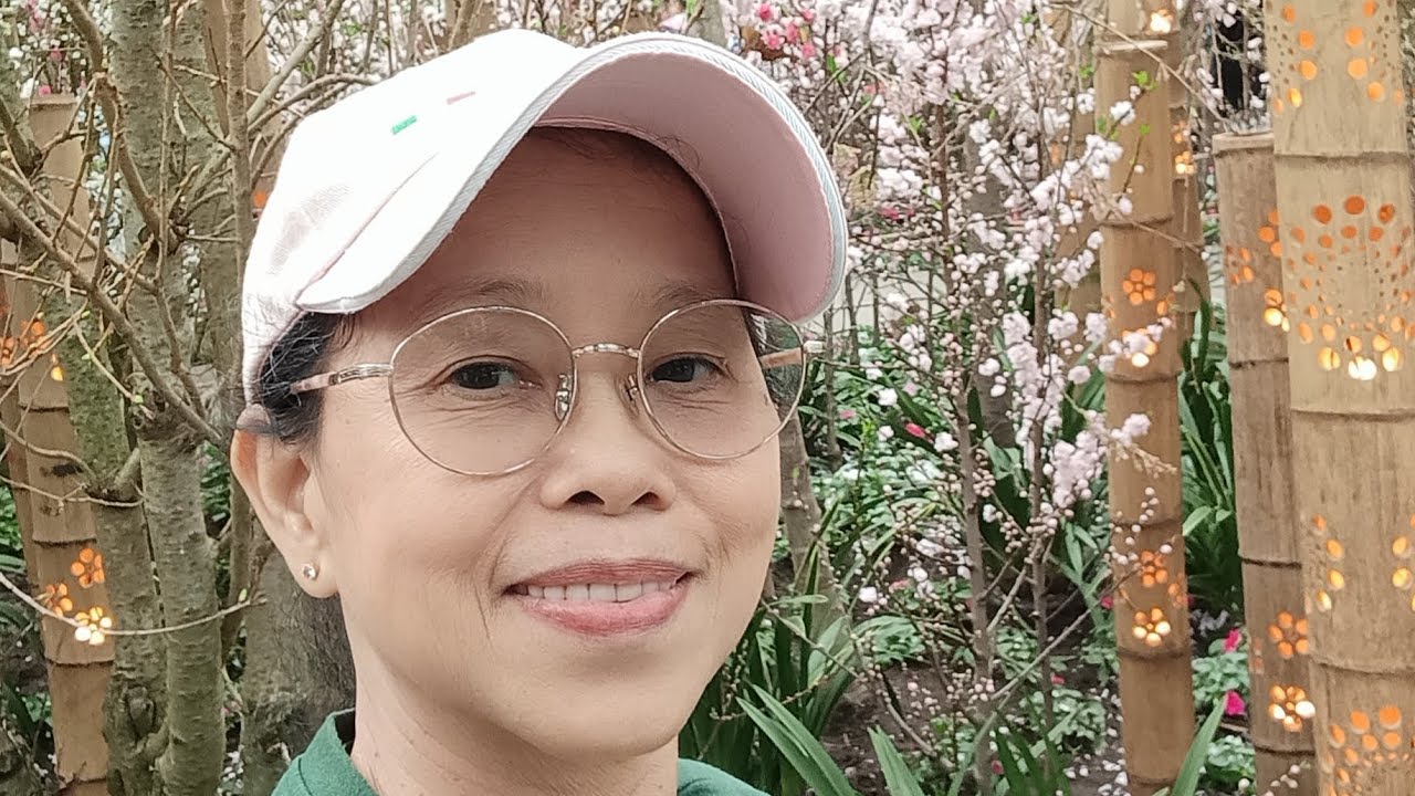 SAKURA DISPLAY AT FLOWER DOME SINGAPORE/Marvels15 Vlog #trending - YouTube