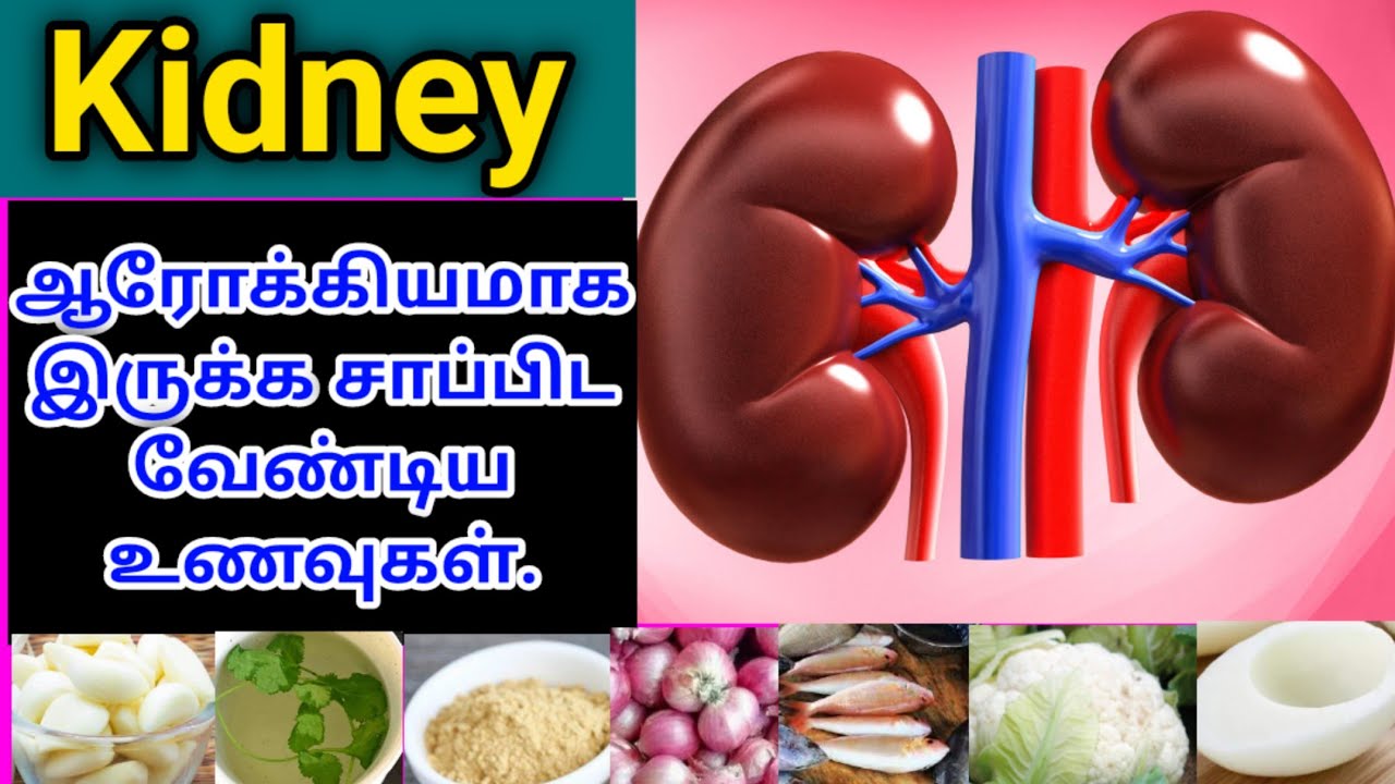 Kidney Food For Health In Tamil Good Foods For Kidney Best Kidney