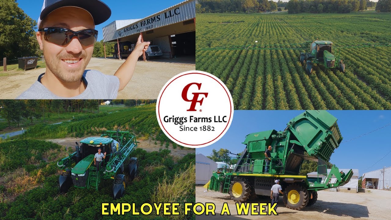 Working at Griggs Farms For a Week | Here’s What Happened - YouTube
