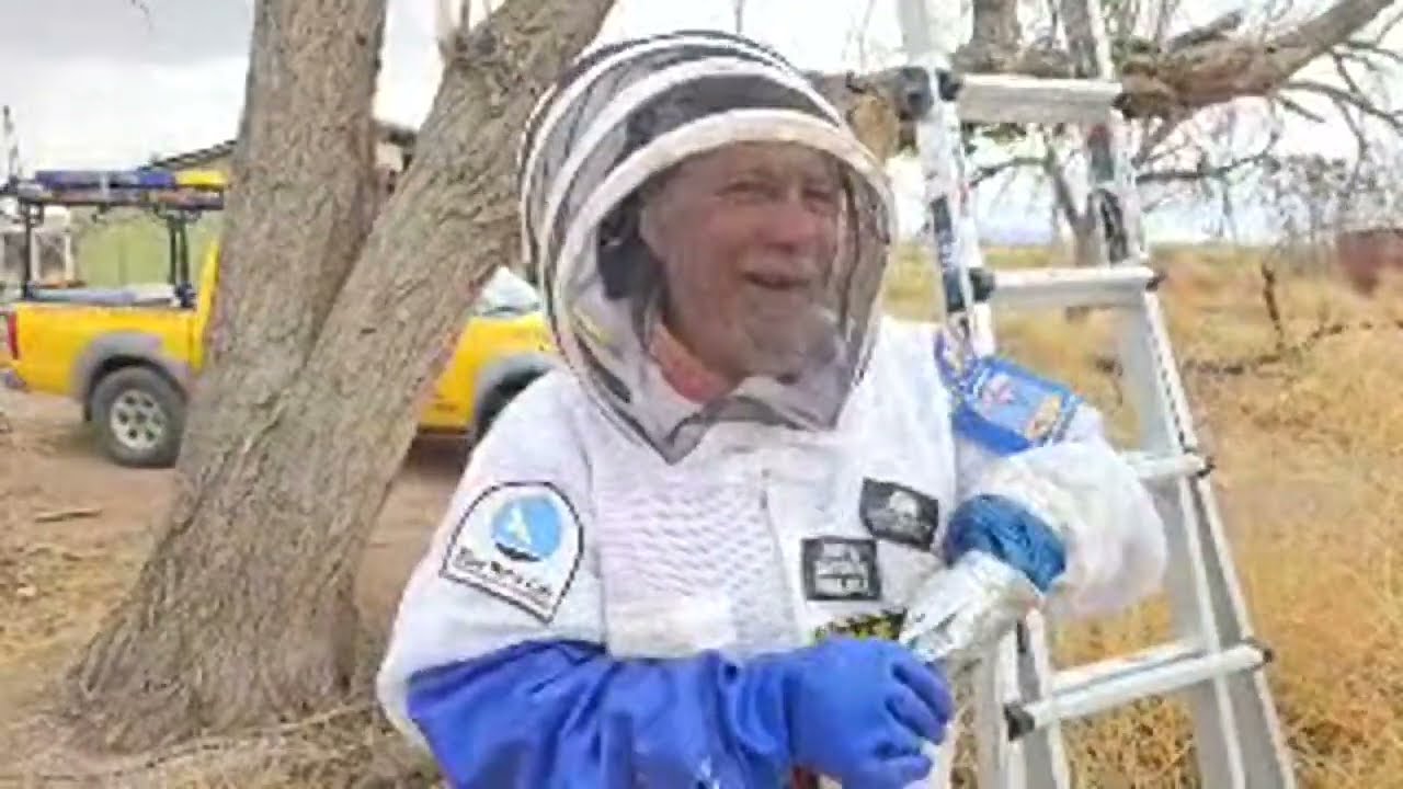 Killer Bee Guy is live! - YouTube