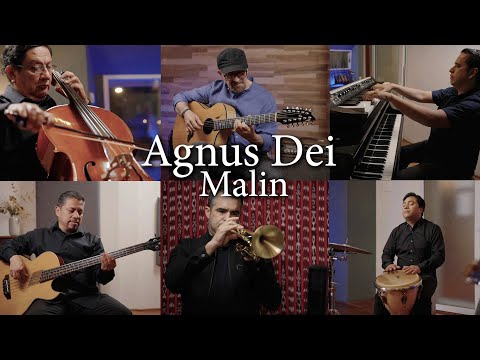 Agnus Dei (Instrumental Cover) - MALIN