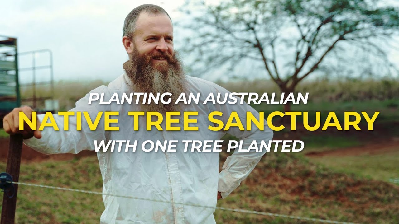 Native Tree Sanctuary in Australia | One Tree Planted - YouTube