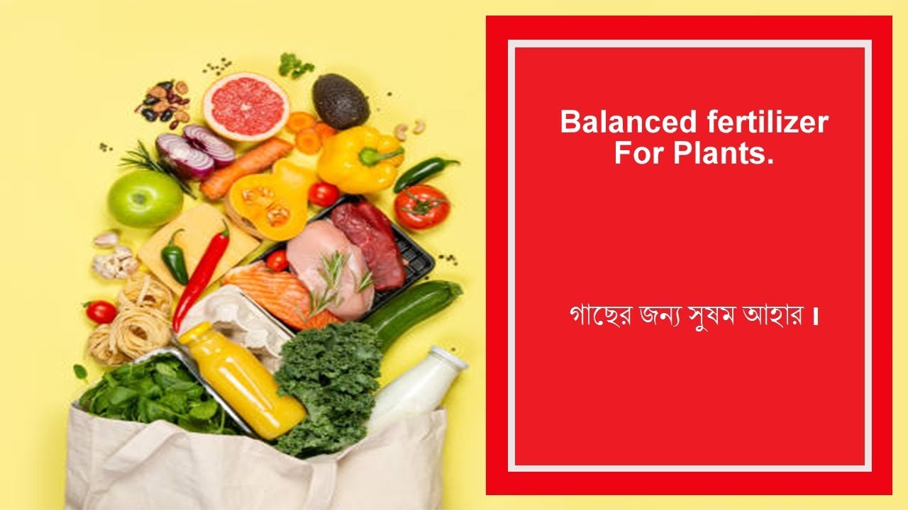 How to make Balanced fertilizer | সুষম আহার - YouTube