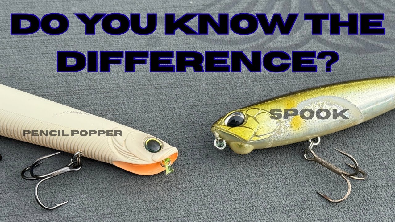 MOST Anglers Don’t Know THIS About PENCIL POPPERS vs SPOOKS! | All You ...