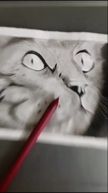 Beautiful cat drawing 🙀😼 #art #drawing #sketch #artist #painting # ...