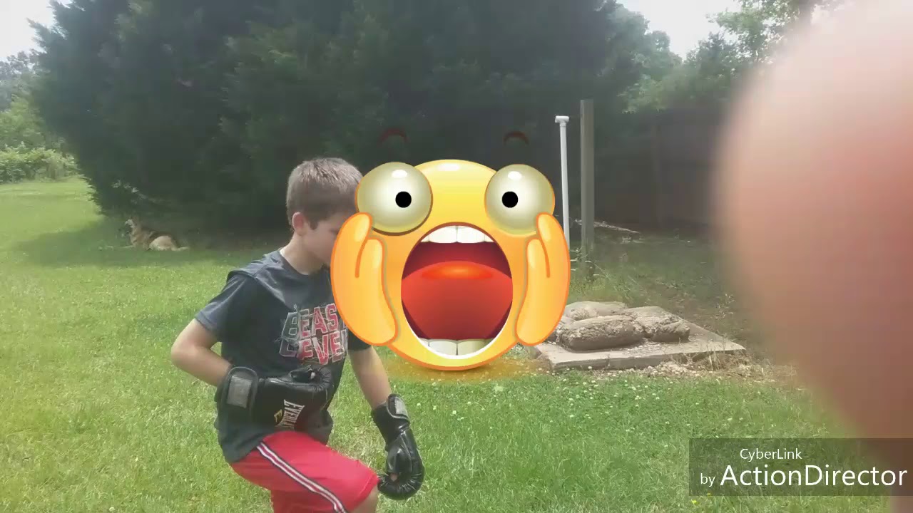 Tire Boxing 2.0 *The more intense version - YouTube