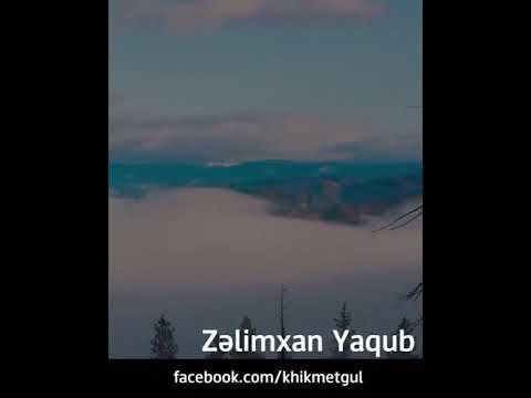 Zəlimxan Yaqub Allah rəhmət eləsin.