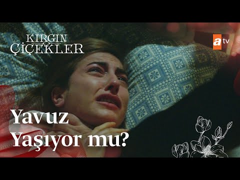 Yavuz yaşıyor mu? | Kırgın Çiçekler Mix Sahneler