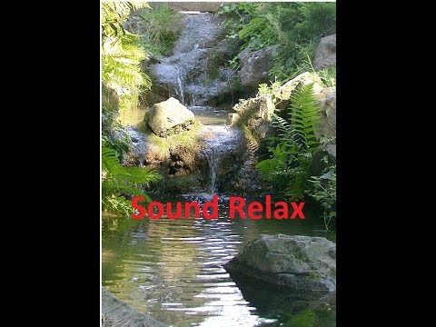 Suono rilassante del ruscello - YouTube