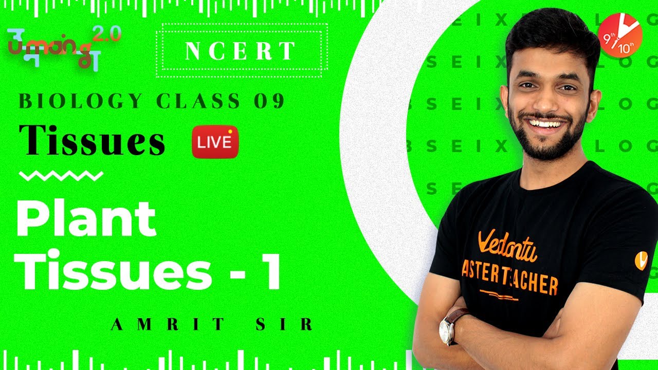 Tissues | Master Plant Tissue L1 | CBSE Class 9 Biology | Science ...