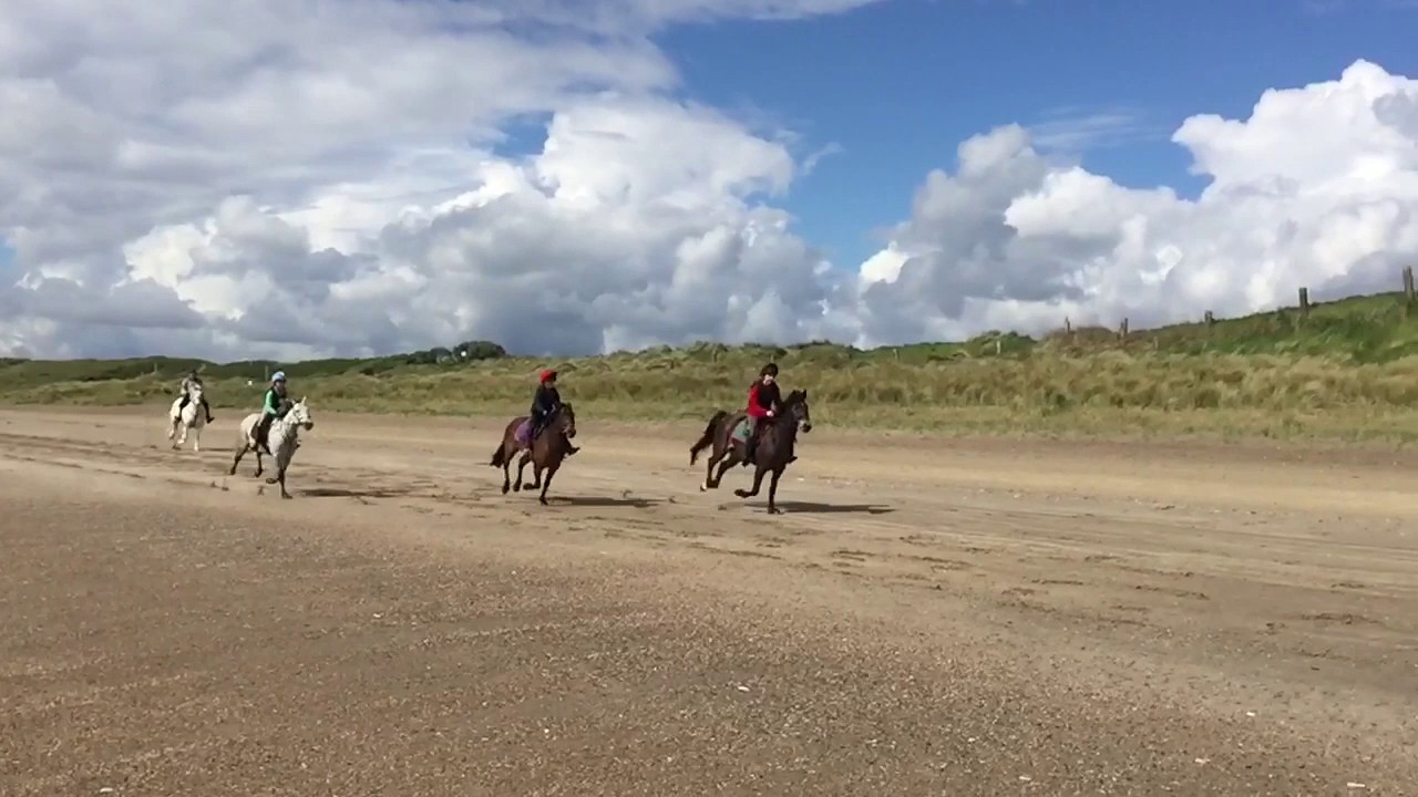 Horses Galloping slow motion - YouTube