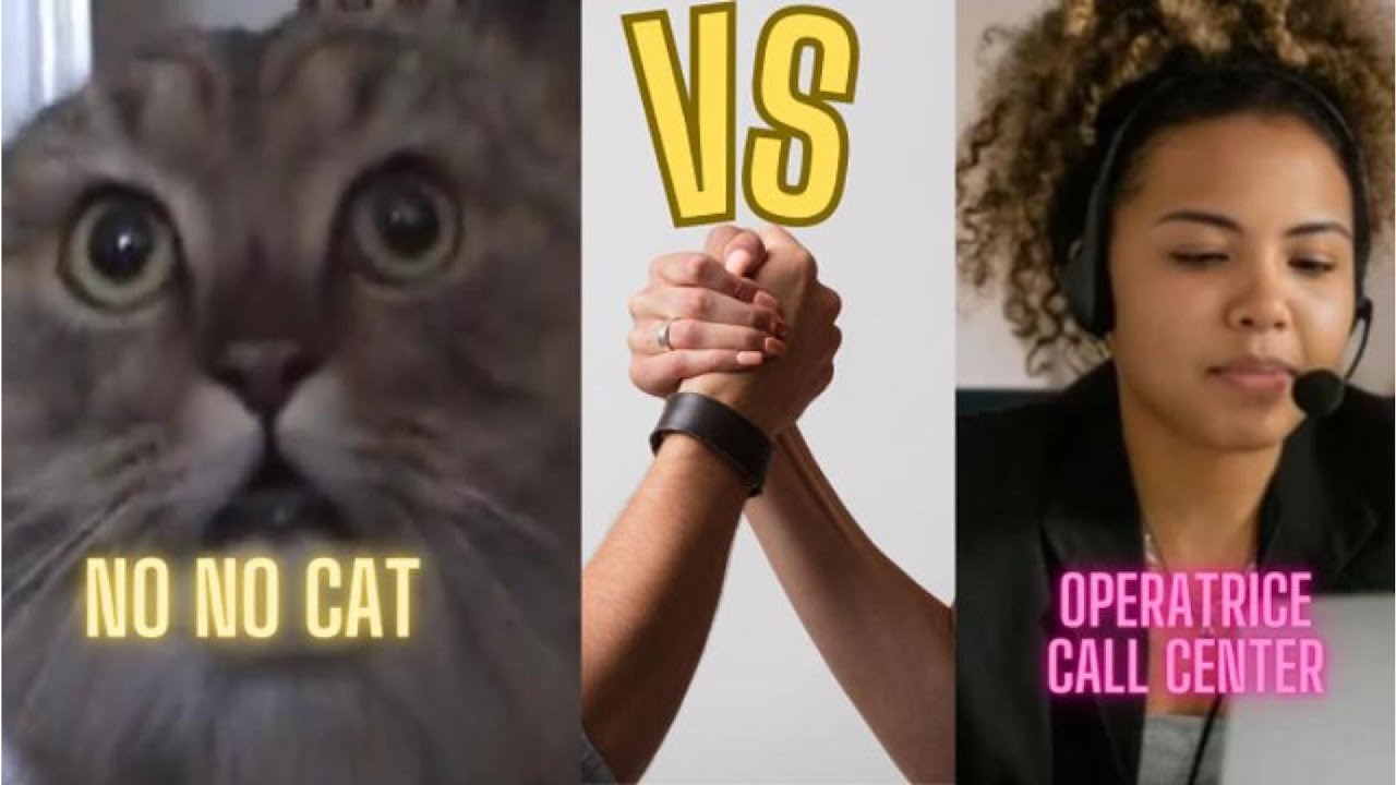 Il Famoso NoNoNo Cat contro Operatrice Call Center #ridere # ...