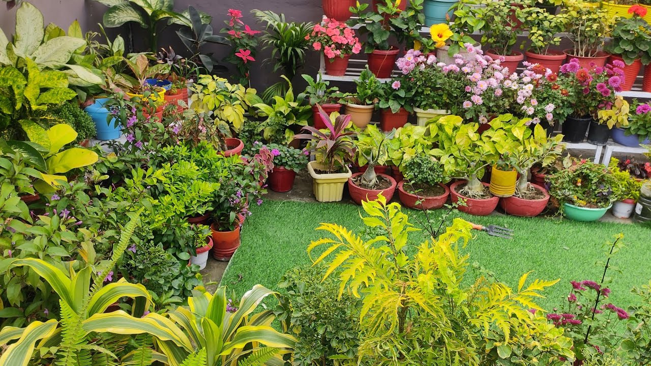 My Terrace Garden Overview/Fabuary Garden Overview/Rooftop Garden ...