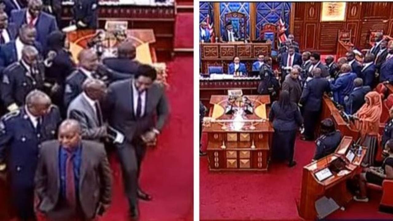BREAKING NEWS:SHOCKS RUTO AS UDA SENATORS PROTEST IN SENATE FORCING ...