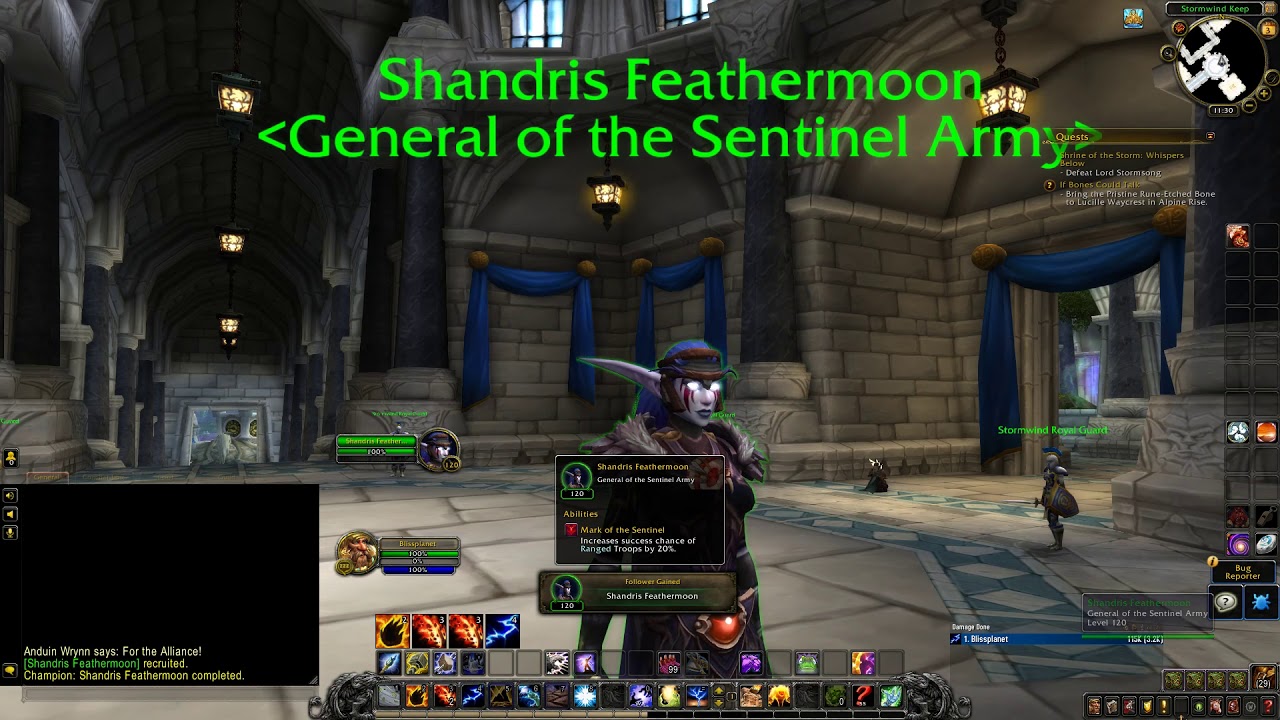 Champion: Shandris Feathermoon - YouTube