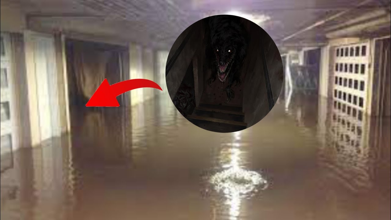 شرح الكامل للمستوى 2- من الغرف الخلفية|backrooms negative level - YouTube