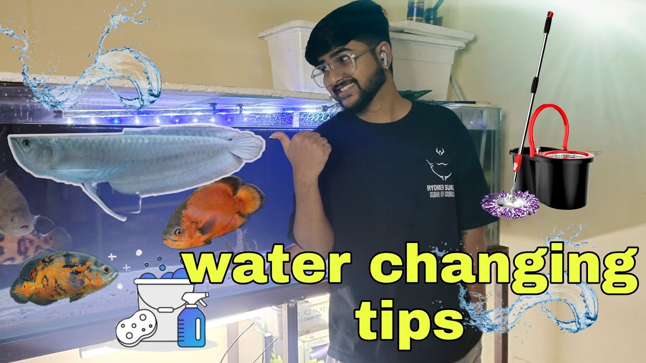 WATER CHANGING TIPS ( AQUARIUM WATER CHANGING) 💦🧼 - YouTube