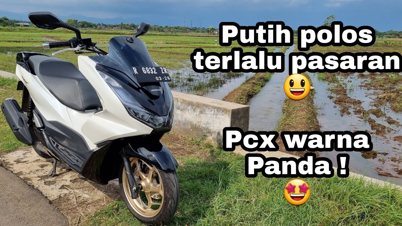 Modifikasi Repaint Body PCX 160 Putih - YouTube