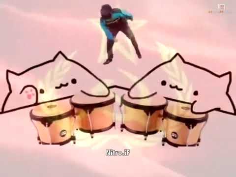 10h of Bongo cat - YouTube