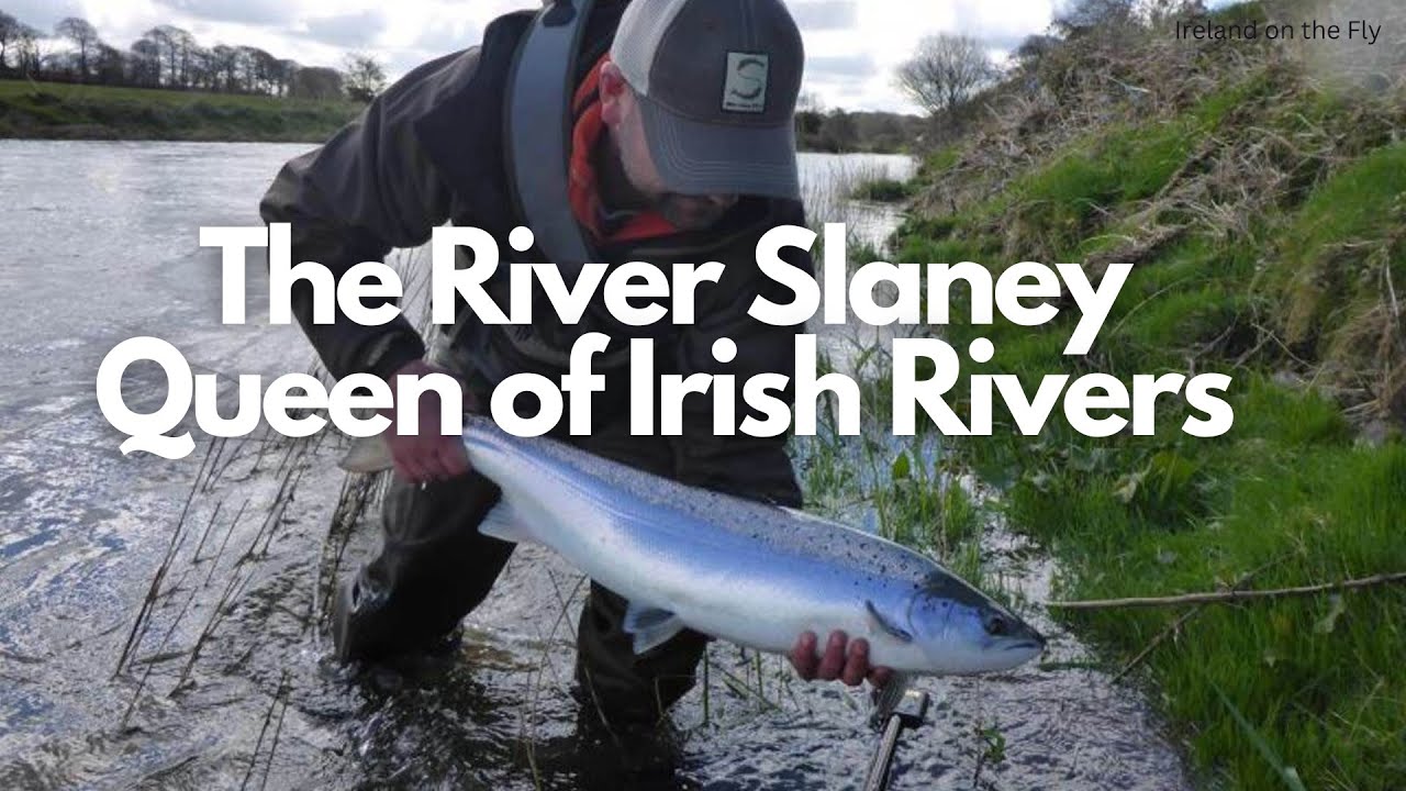 The River Slaney, queen of Irish Rivers - YouTube