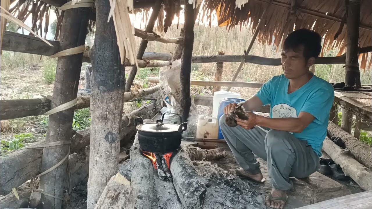 hmoob nplog lub neej nyob ntuj qub qab luaj teb Ep03. Feb11,2025. - YouTube